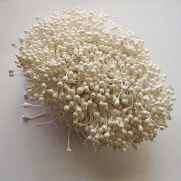 Stamens - Cream - CAST03 - CraftAdda