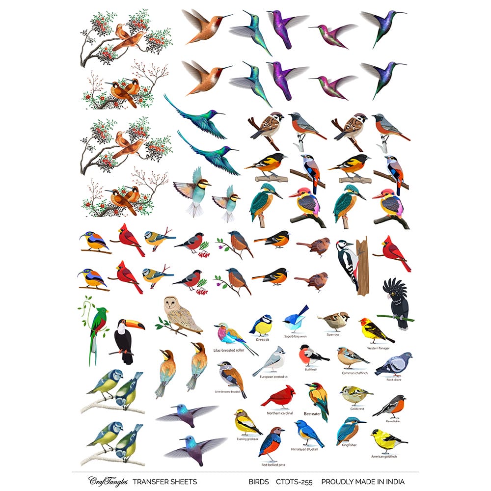 CrafTangles A4 Transfer It Sheets - Birds - CTDTS-255 - CraftAdda